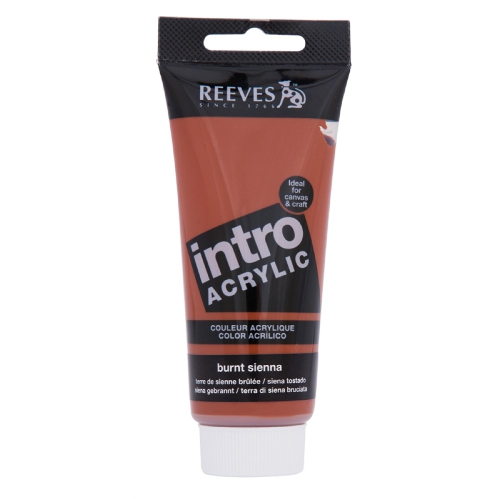 Reeves Intro Acrylic Colour 120ML (Burnt Sienna)