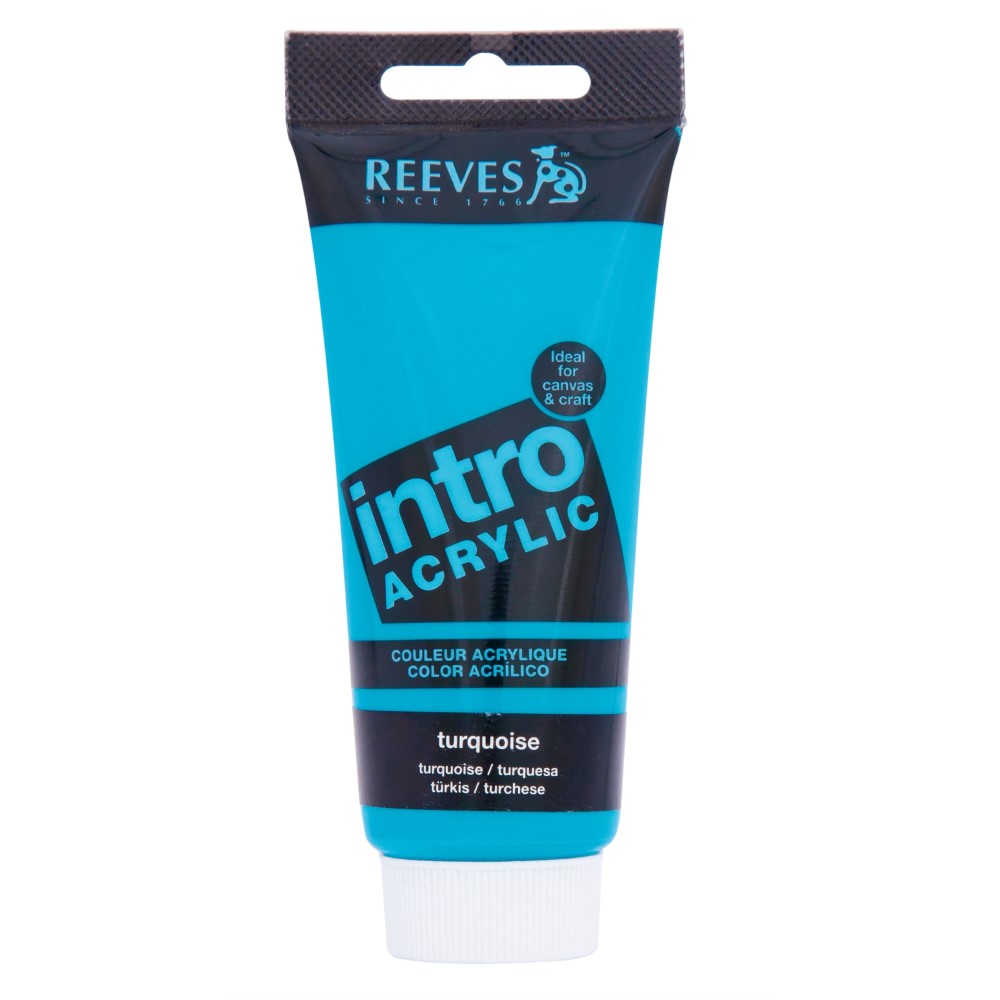 Reeves Intro Acrylic Colour 120ML (Turquoise)